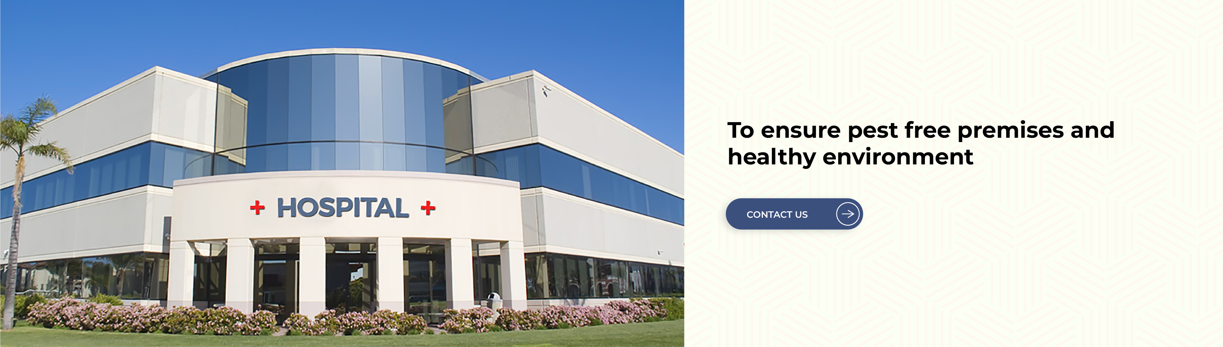 Pest Control Services for the Healthcare | Pestinct