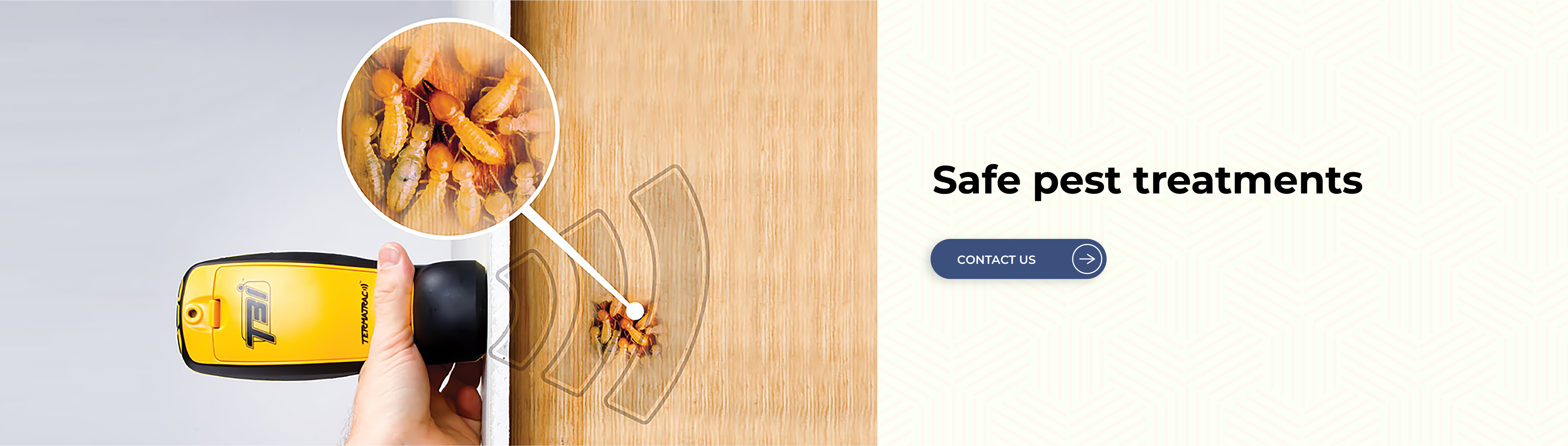 Pest Control Services for School & Business | Pestinct