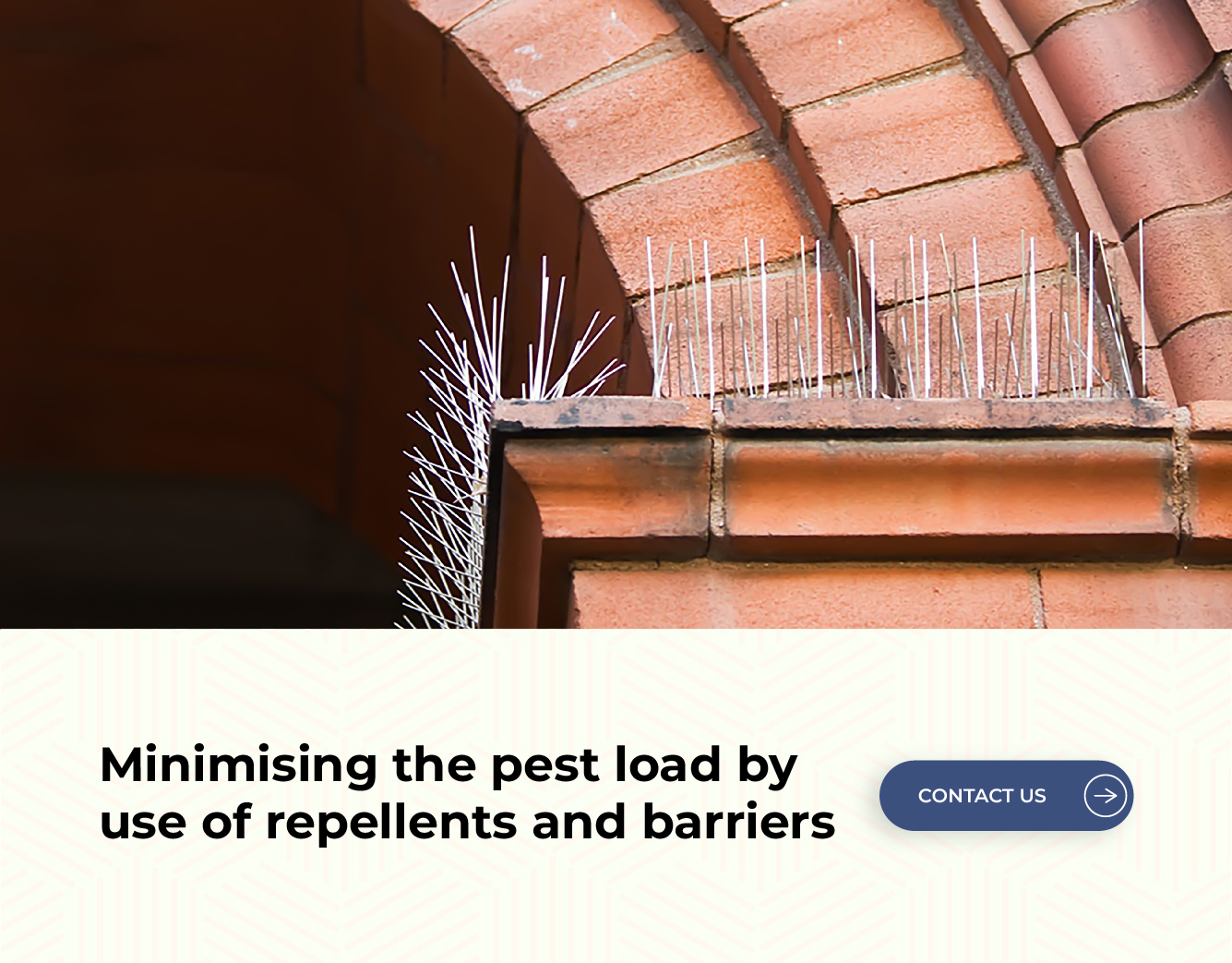 Pest Control Services for School & Business | Pestinct
